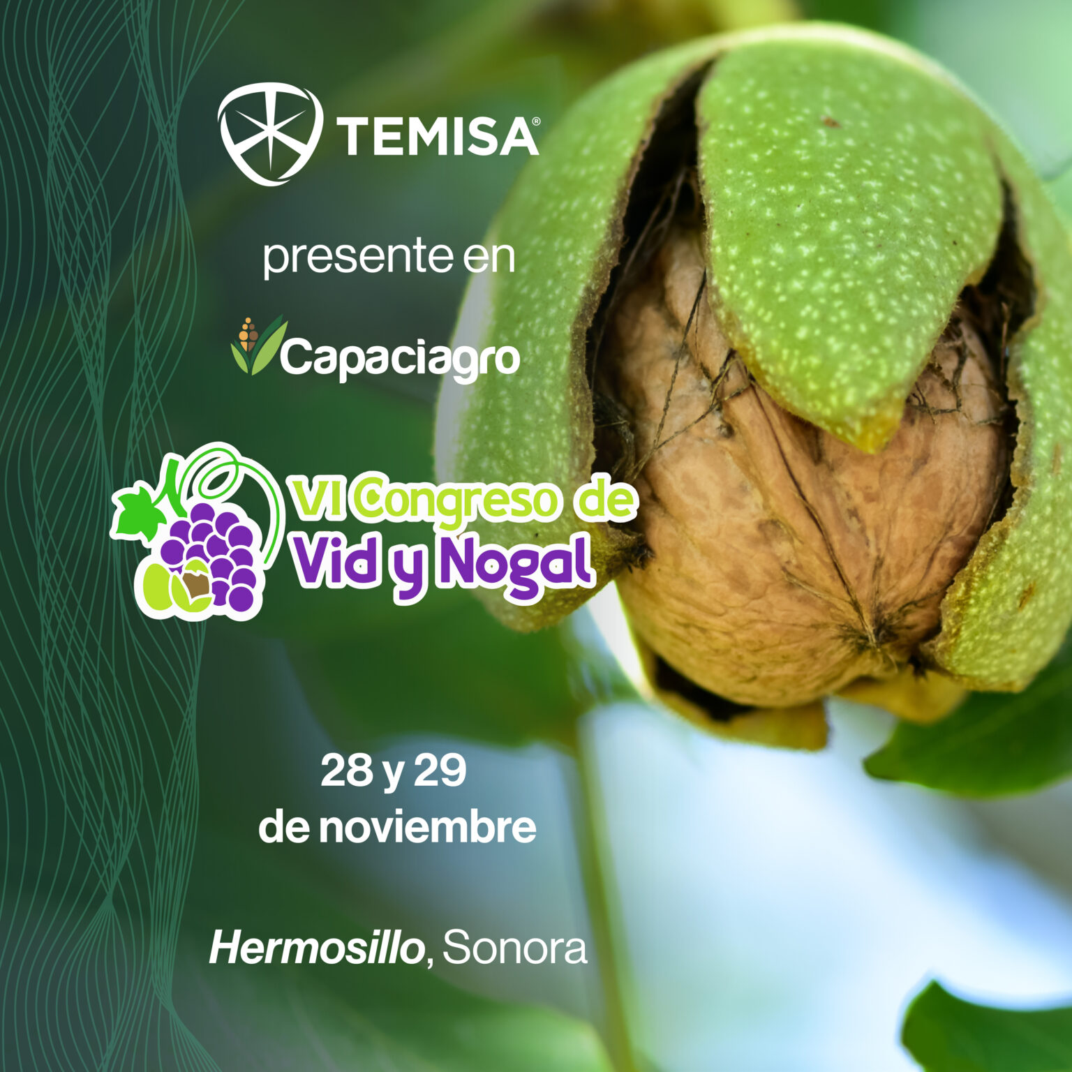 Inicio - Temisa