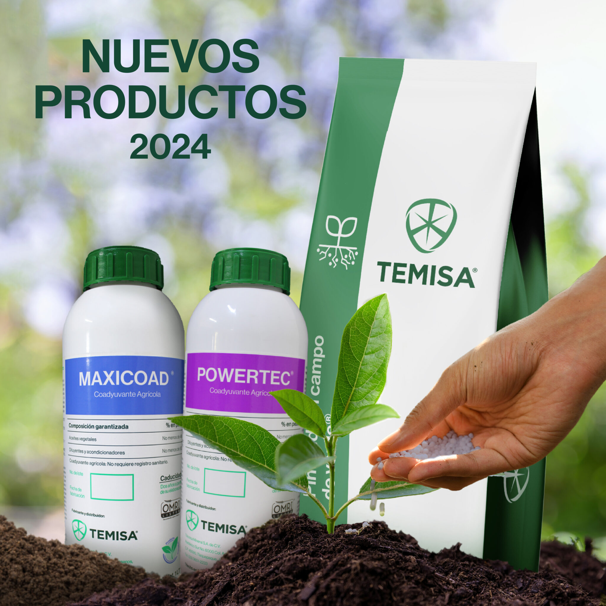 Nosotros - Temisa